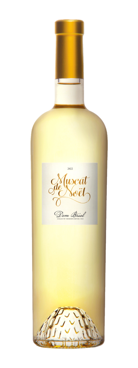 Muscat de Noël : un vin pour les fêtes ! - Cave Mathelin