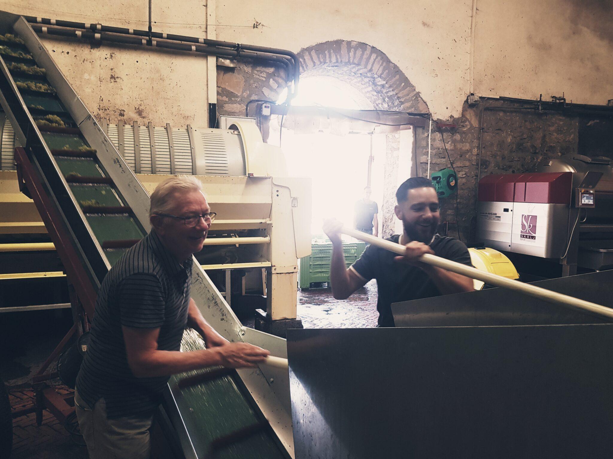 Domaine beaujolais familial : Domaine de Sandar, Caves Mathelin